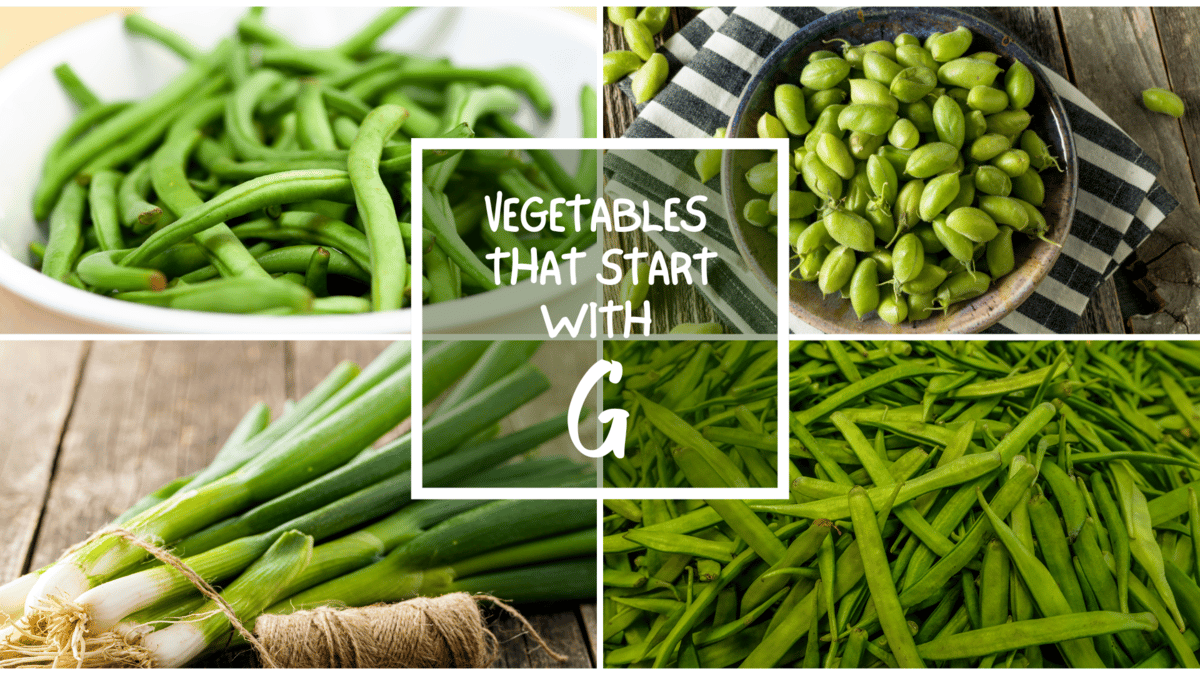 All The Vegetables That Start With J