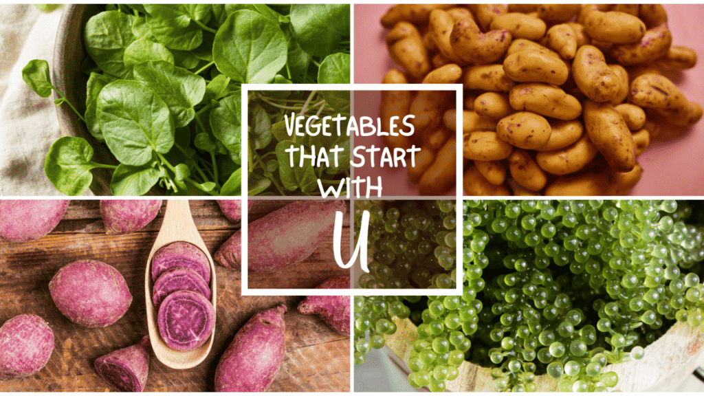 All The Vegetables That Start With J